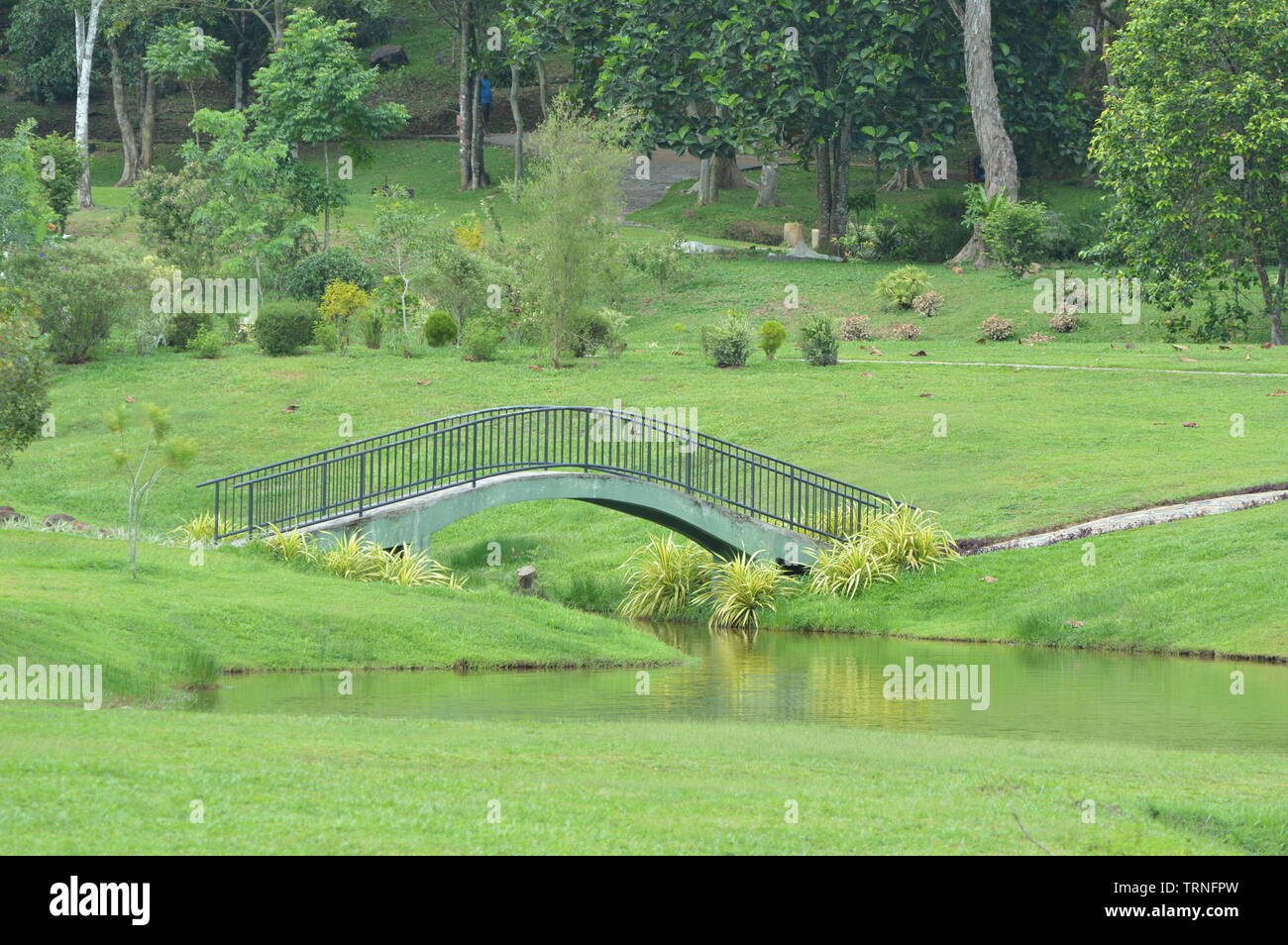 Bridge in a Park Stock Photo - Alamy