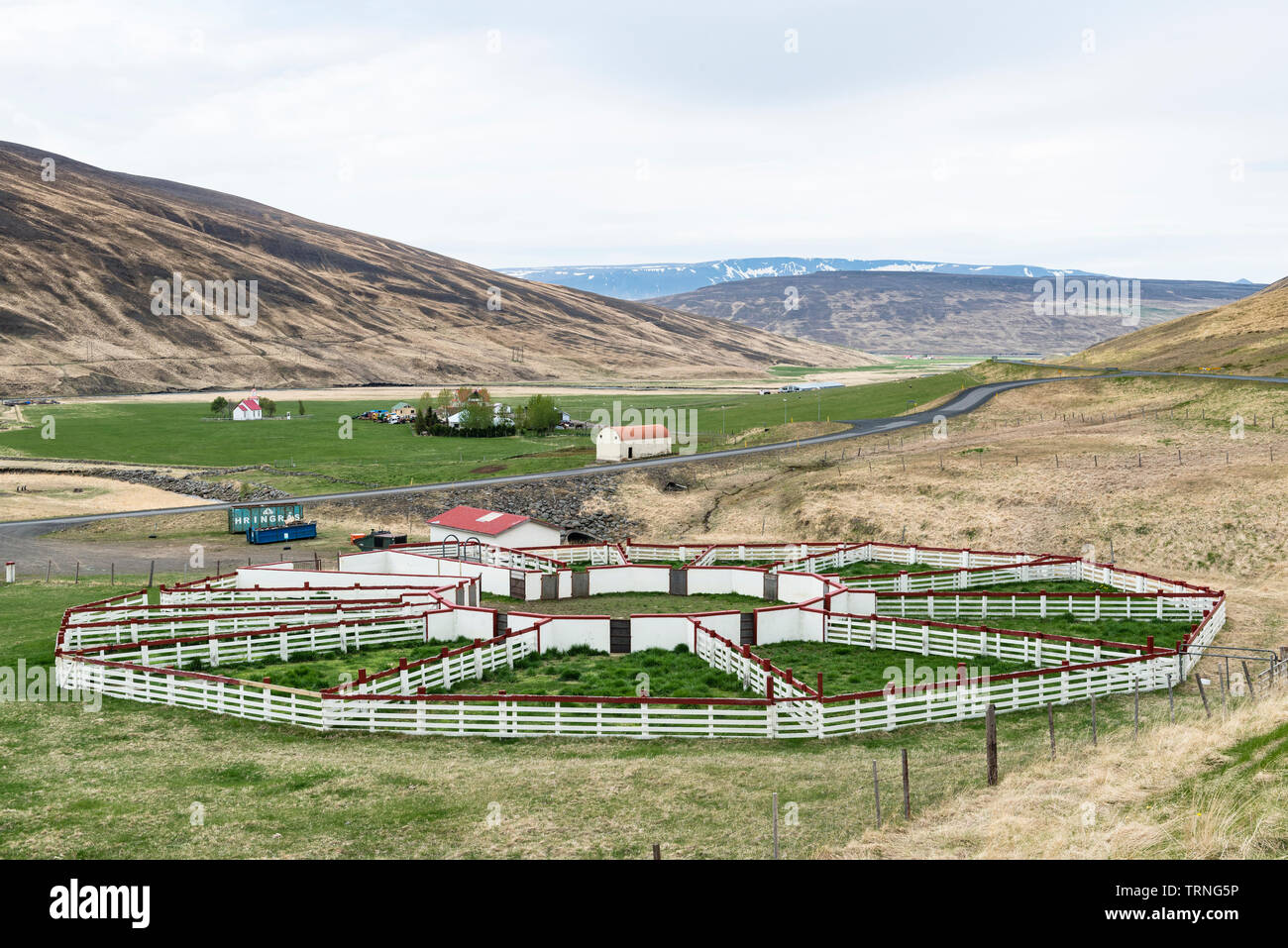 Horses in corral circular hi-res stock photography and images - Alamy