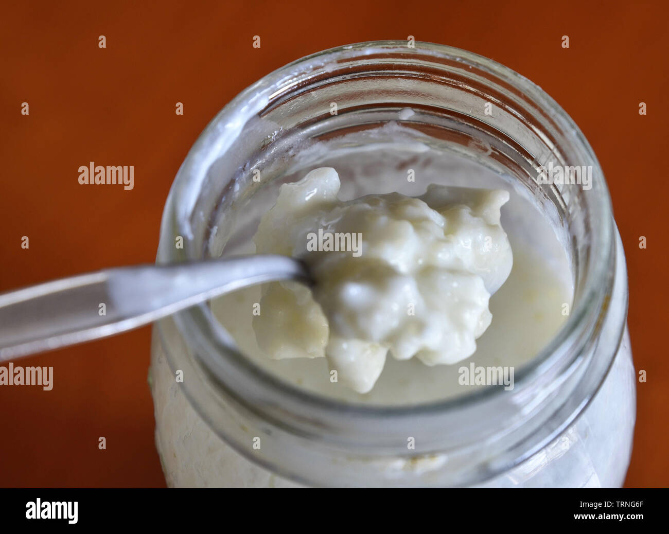 A teaspoon stirs the kefir and raises some granules in a close-up shot ...