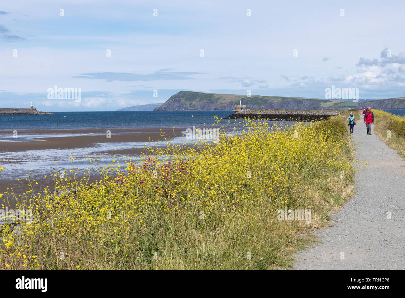 Goodwick hi-res stock photography and images - Alamy