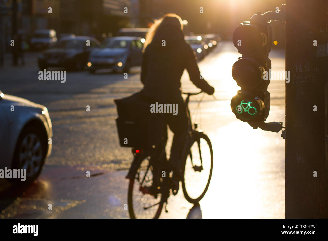 Green bicycle traffic light with woman riding a bicycle across the ...