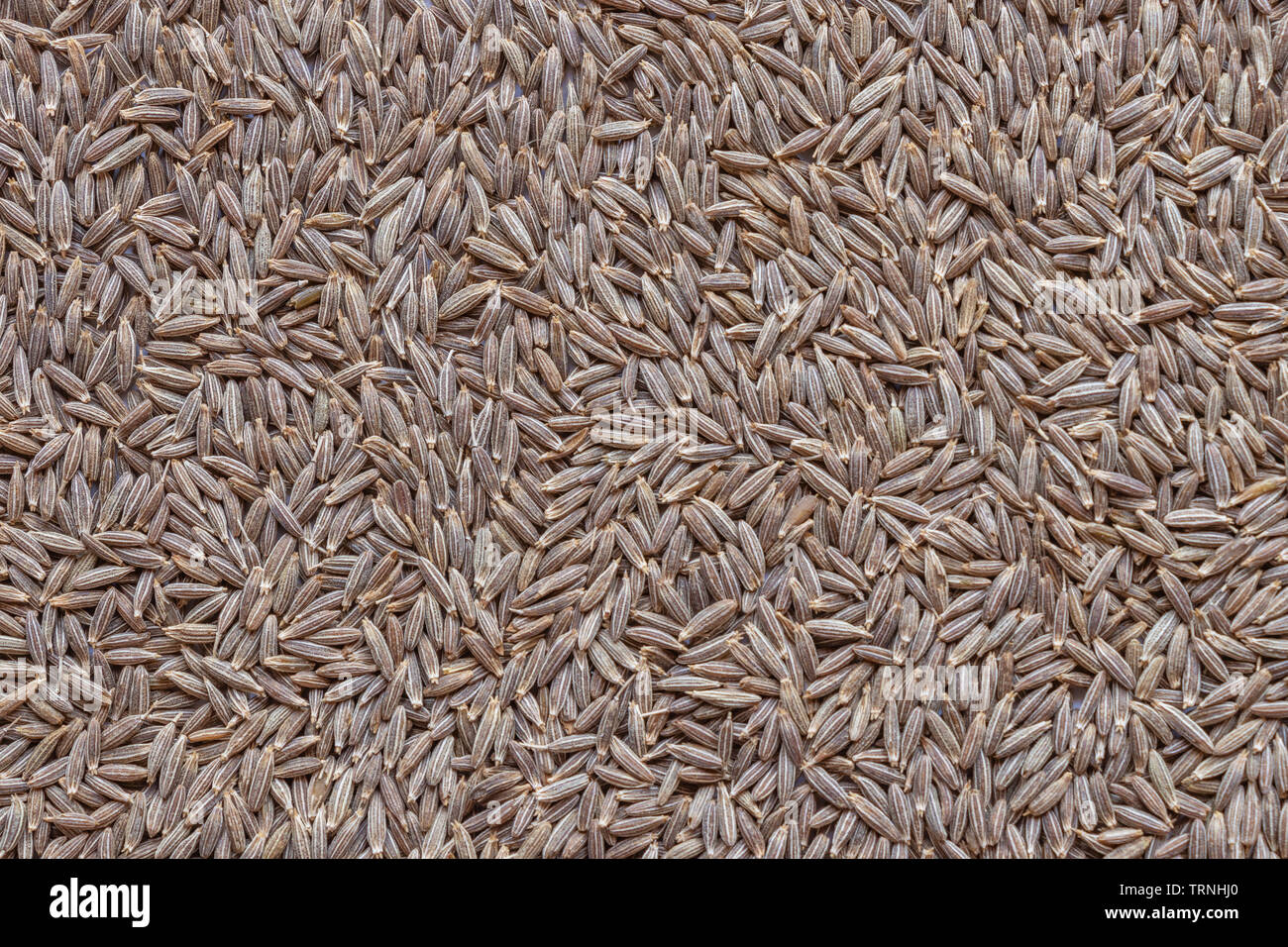 Closeup cumin hi-res stock photography and images - Alamy