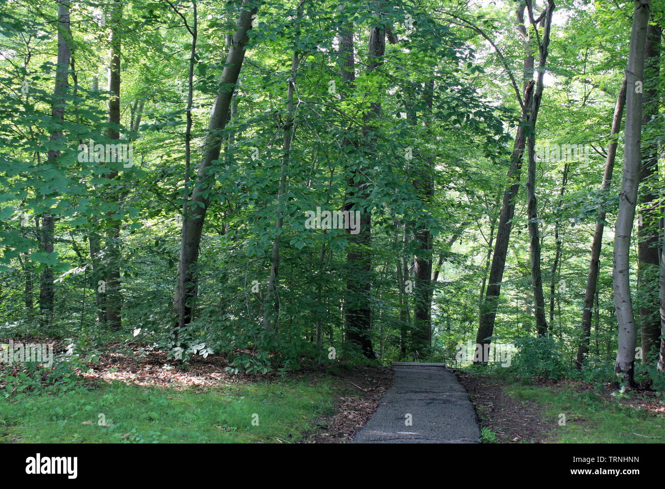 Delaware valley hi-res stock photography and images - Alamy