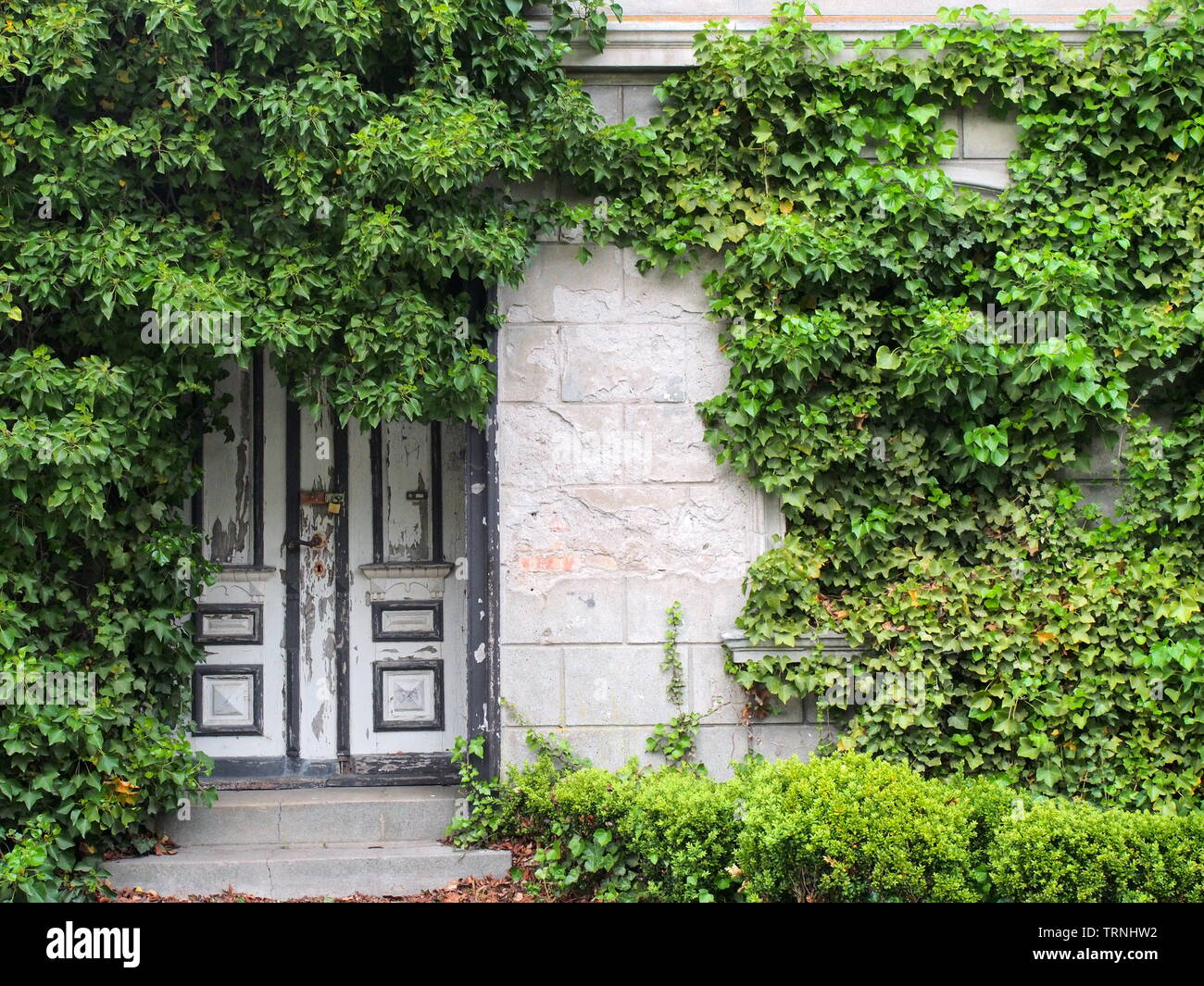 Overgrown house wall hi-res stock photography and images - Alamy