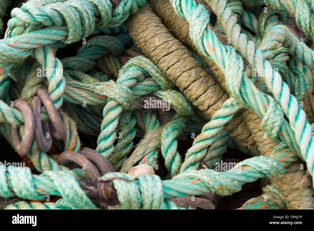knotted and tangled ropes for fishery Stock Photo - Alamy