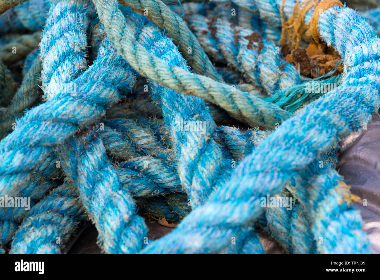 knotted and tangled ropes for fishery Stock Photo - Alamy