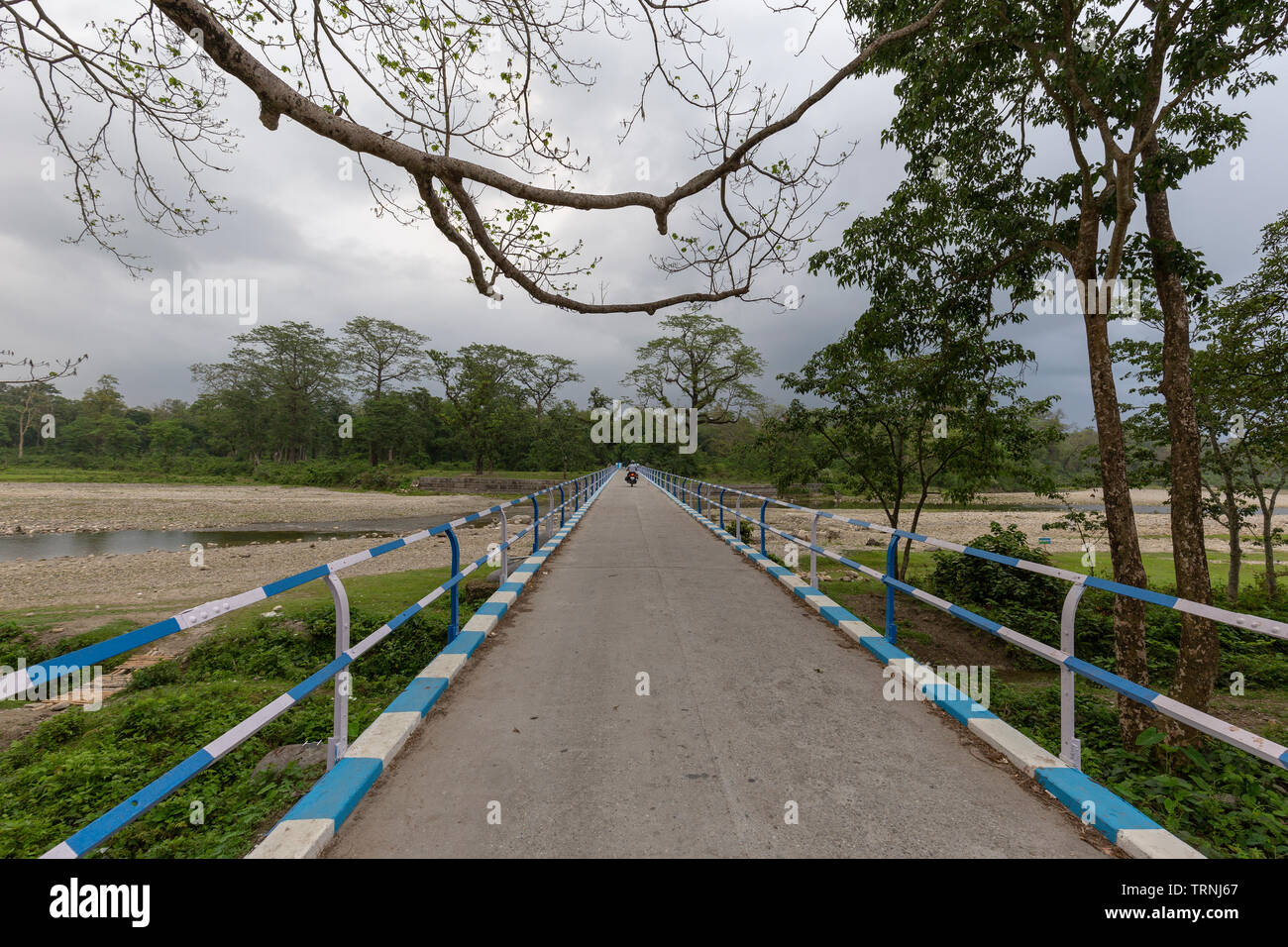 Dooars landscape hi-res stock photography and images - Alamy