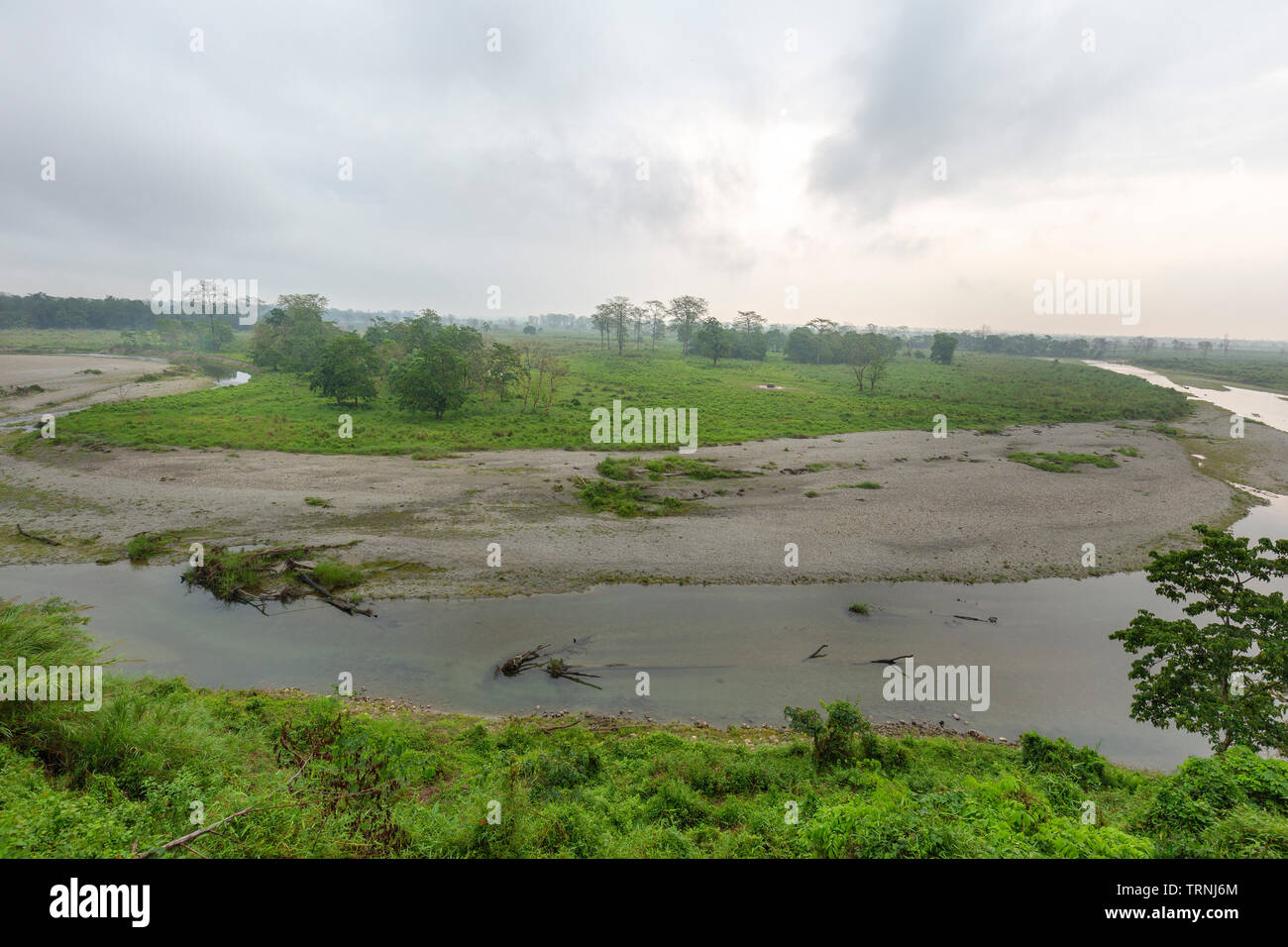 Gorumara national park landscape in Dooars North Bengal India Stock ...