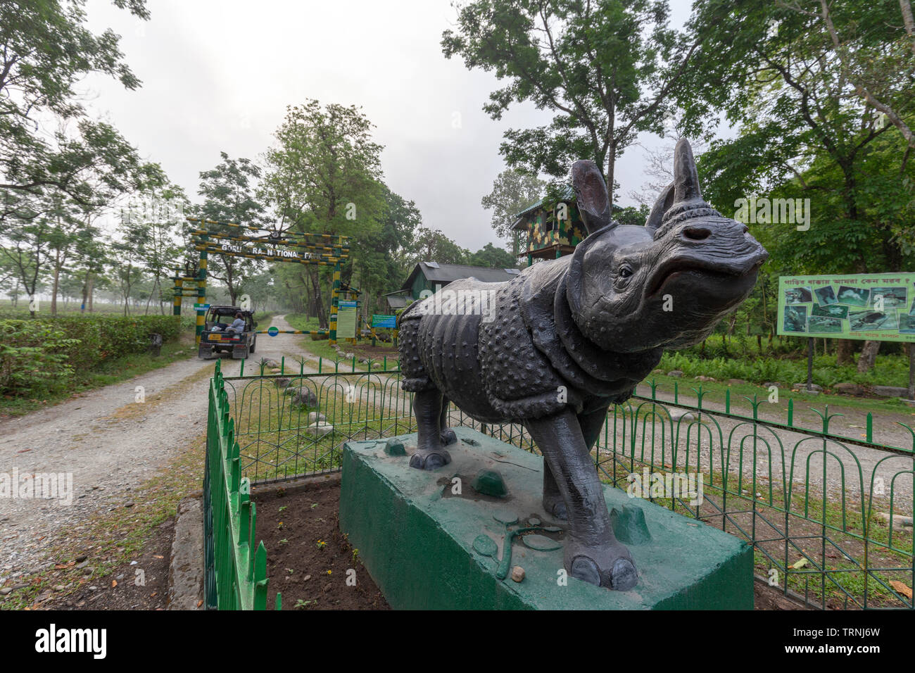 Gorumara national park landscape in Dooars North Bengal India Stock ...