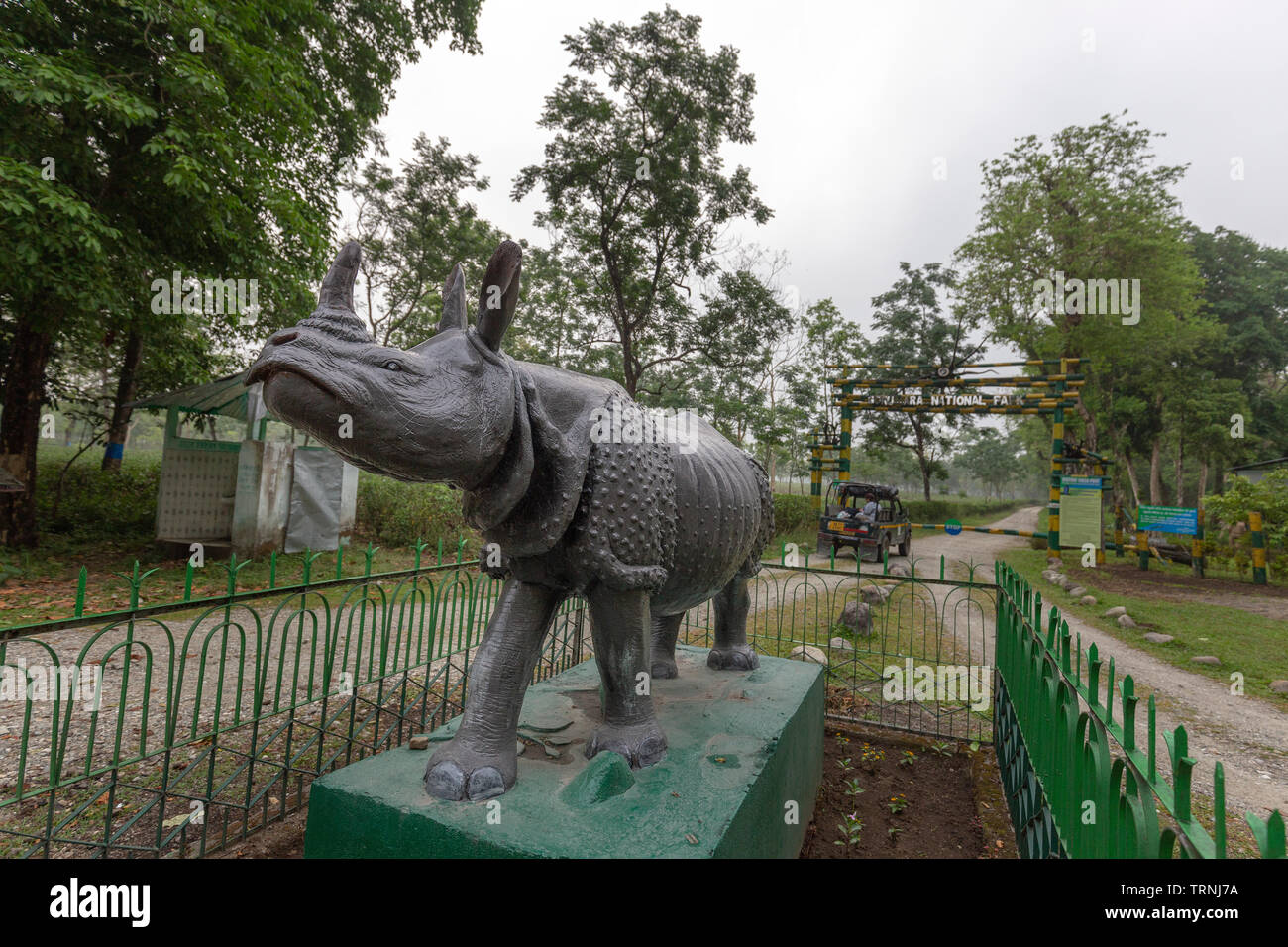 Gorumara national park landscape in Dooars North Bengal India Stock ...