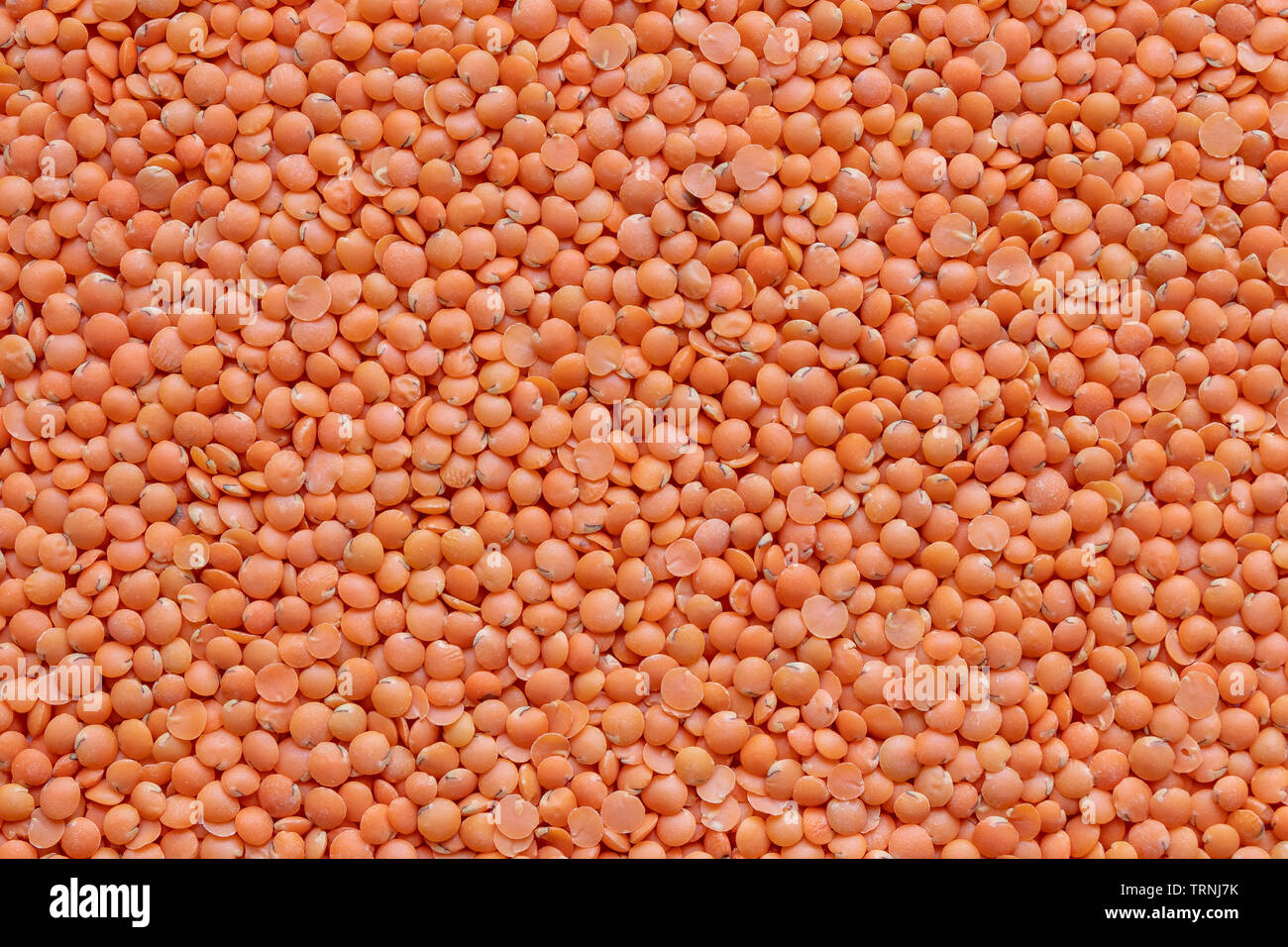 Masoor bean hi-res stock photography and images - Alamy