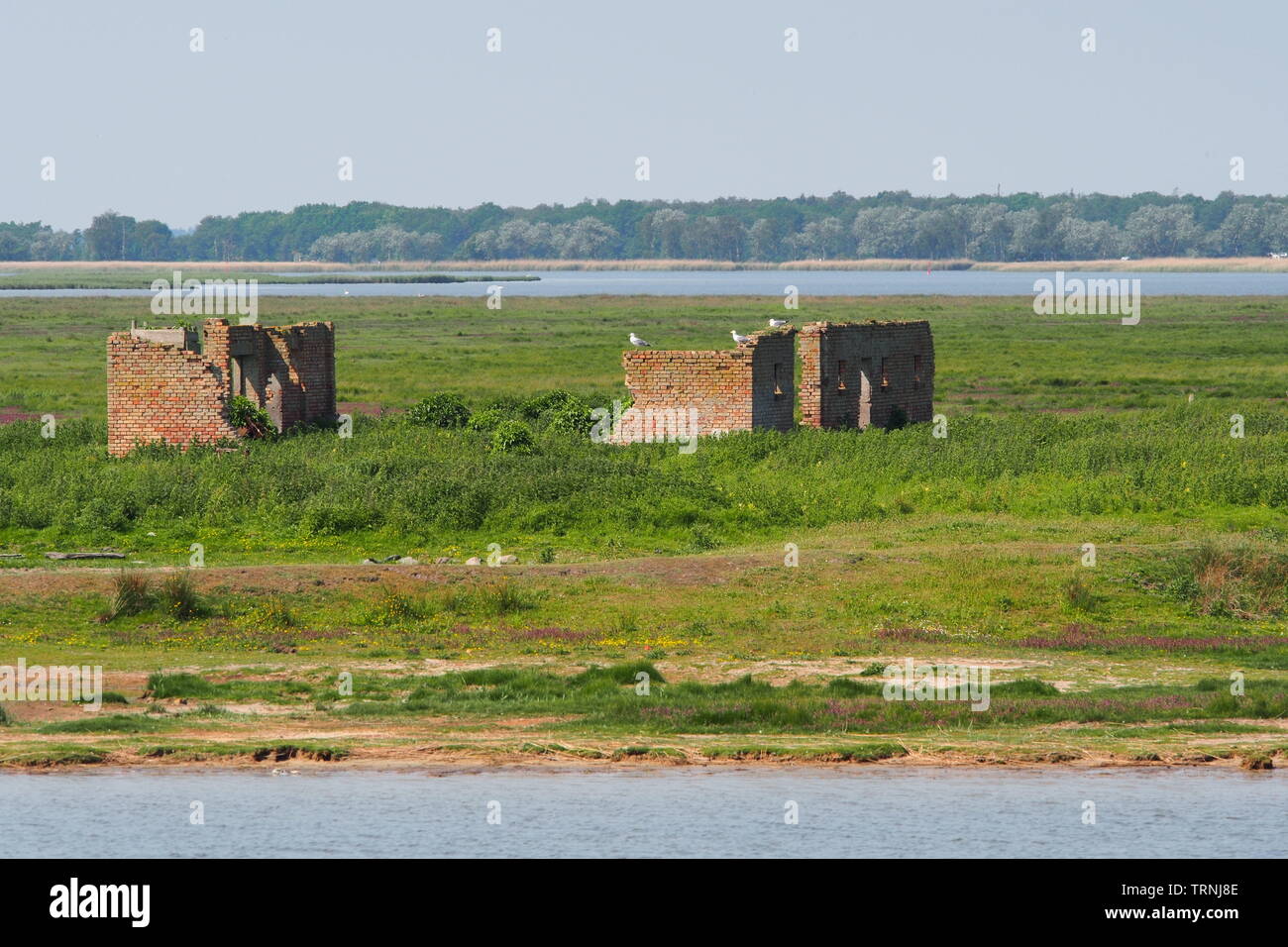 Farm ruins, Nationalpark Vorpommersche Boddenlandschaft, Germany Stock ...