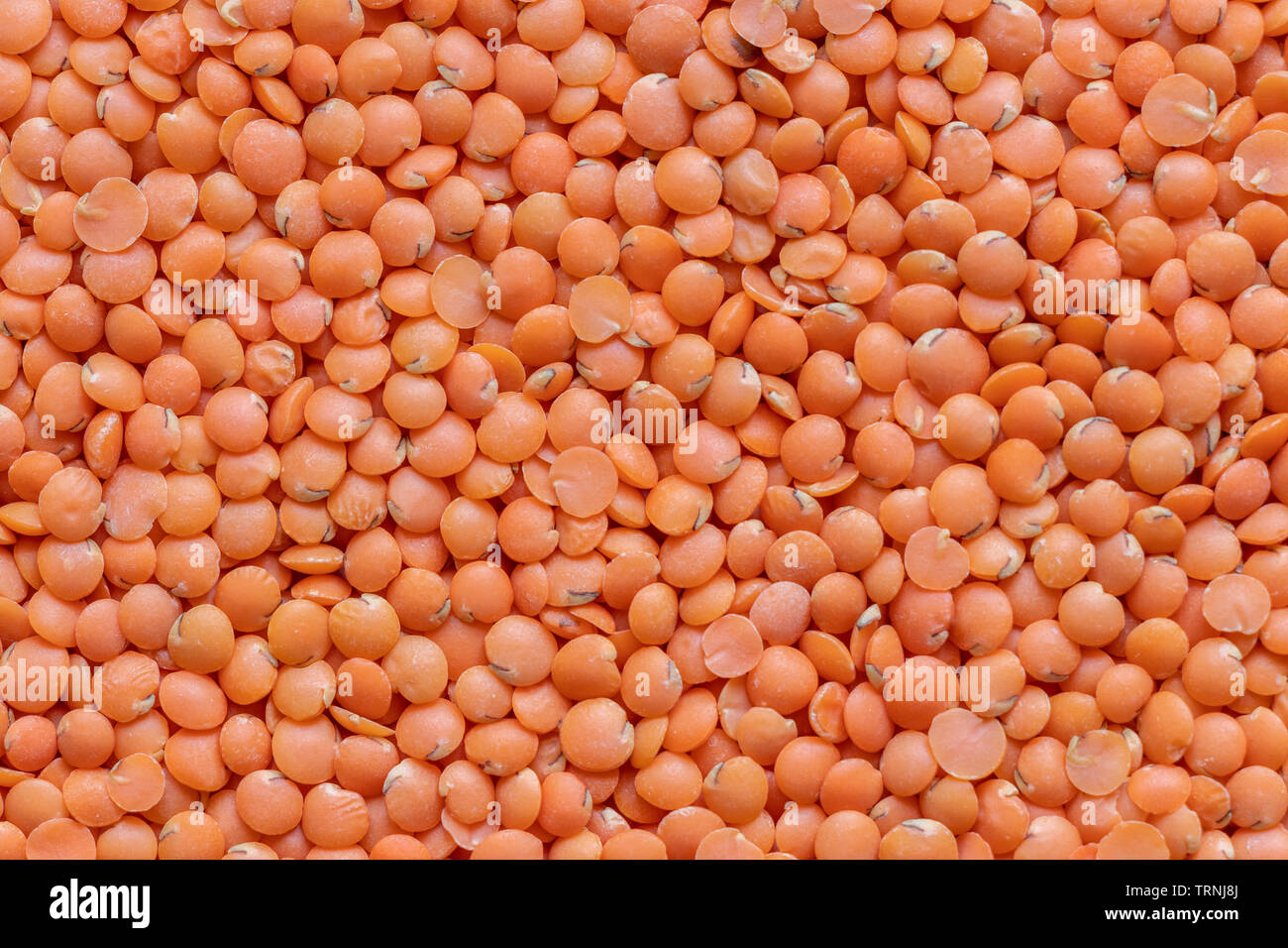 Masar dal hi-res stock photography and images - Alamy