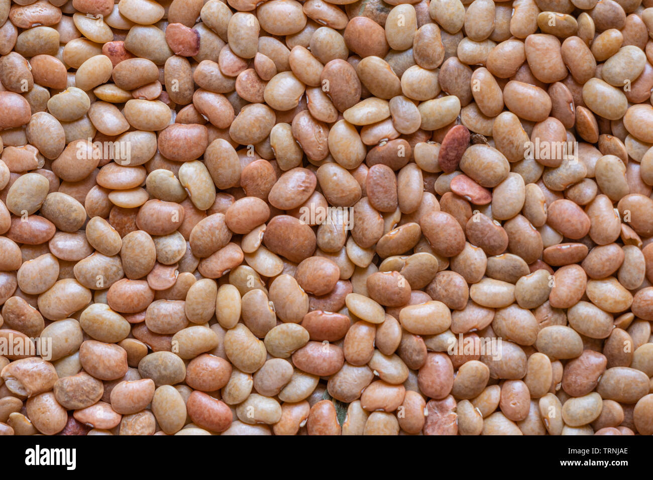 Sabut masoor hi-res stock photography and images - Alamy