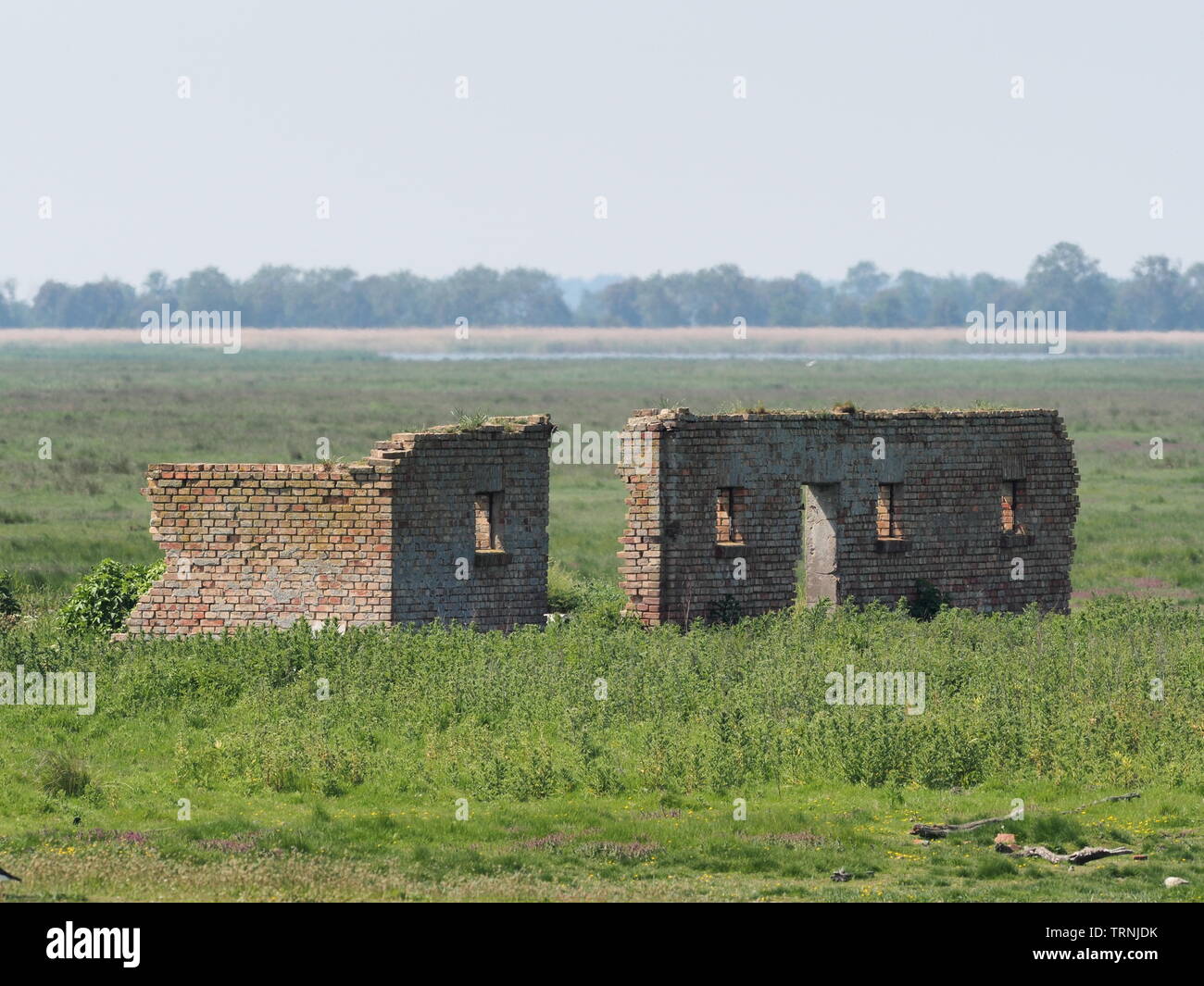Farm ruins, Nationalpark Vorpommersche Boddenlandschaft, Germany Stock ...