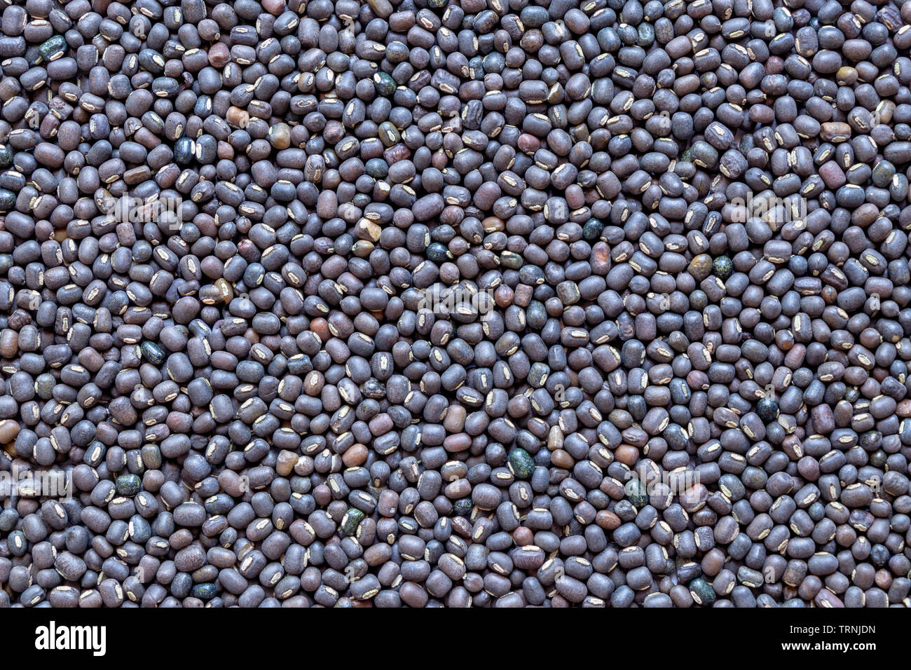 Black gram hi-res stock photography and images - Alamy