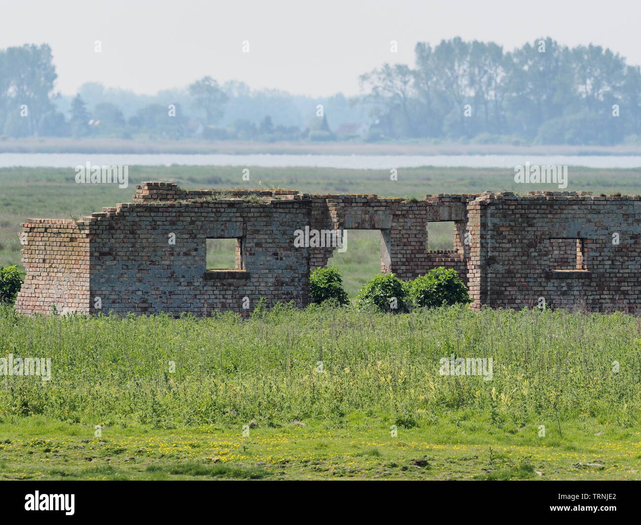 Farm ruins, Nationalpark Vorpommersche Boddenlandschaft, Germany Stock ...