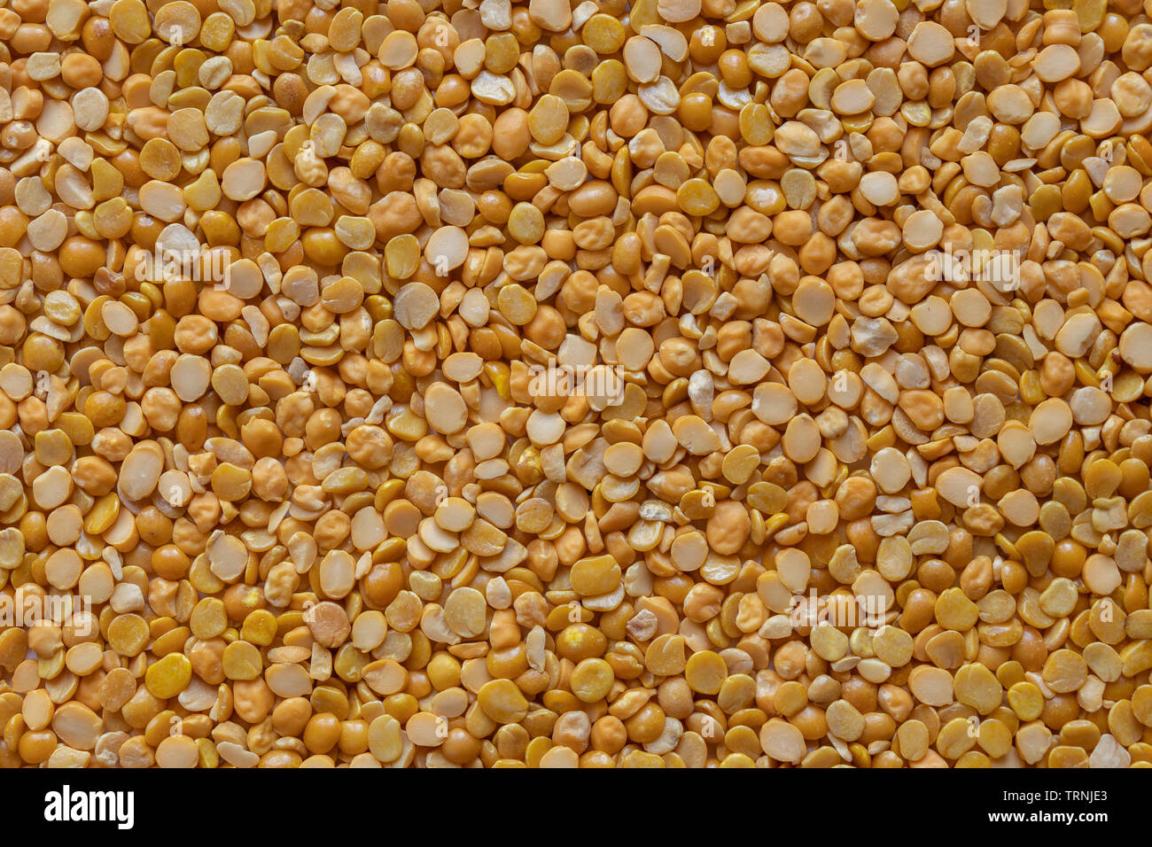 Chickpeas or Chana Dal, pluse also known as split bengal gram Stock ...