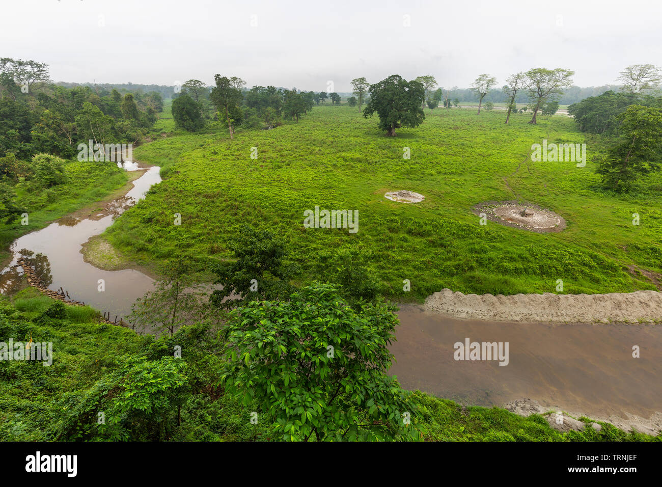 Gorumara national park landscape in Dooars North Bengal India Stock ...