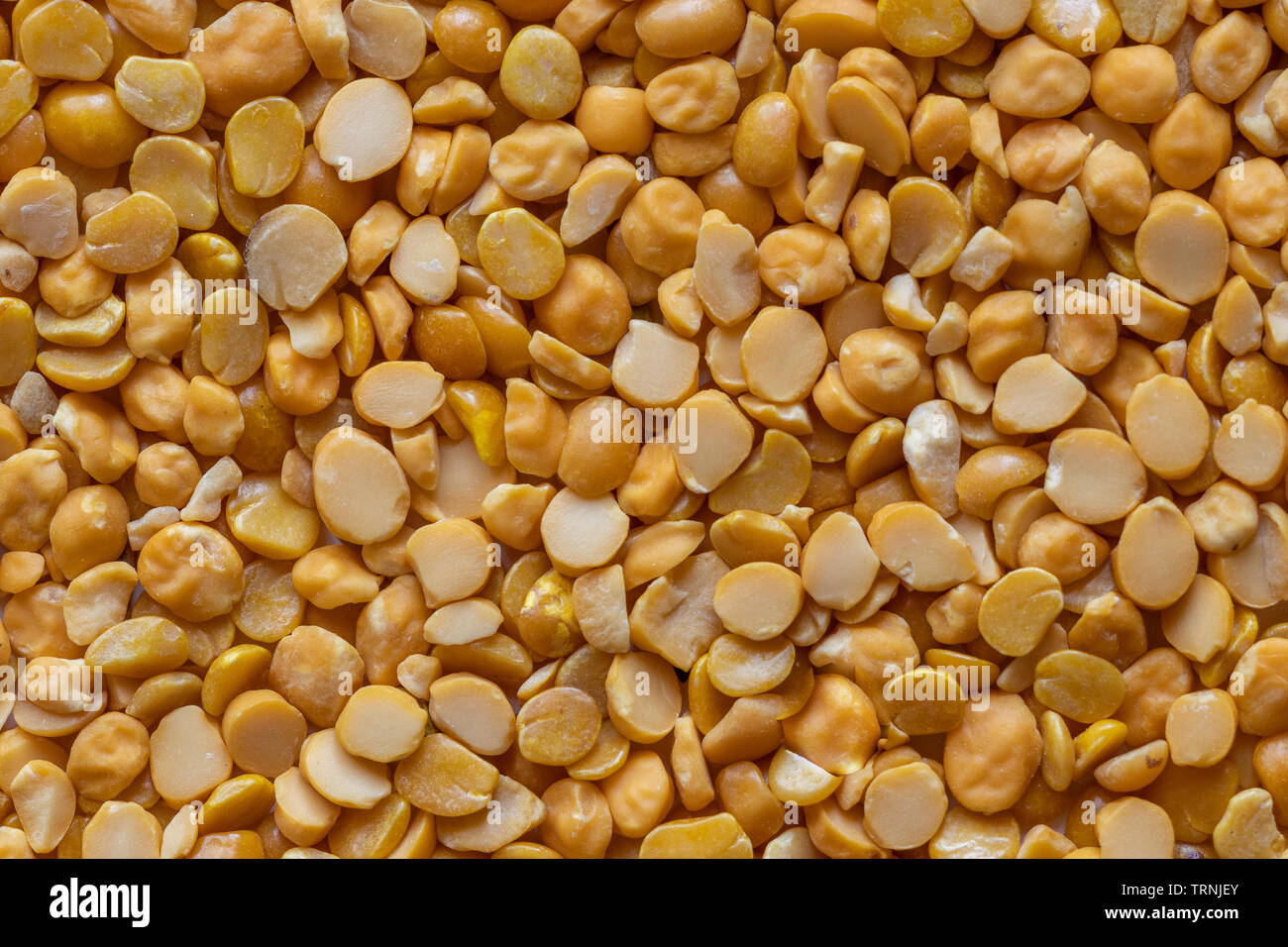 Bengal Gram In Tamil