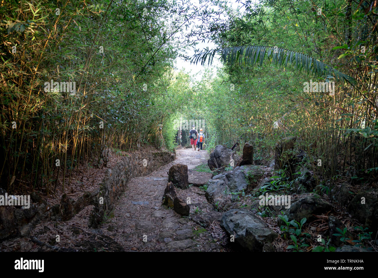 "Linh Quy Phap An" temple, Bao Loc town, Lam Dong Province, Vietnam ...