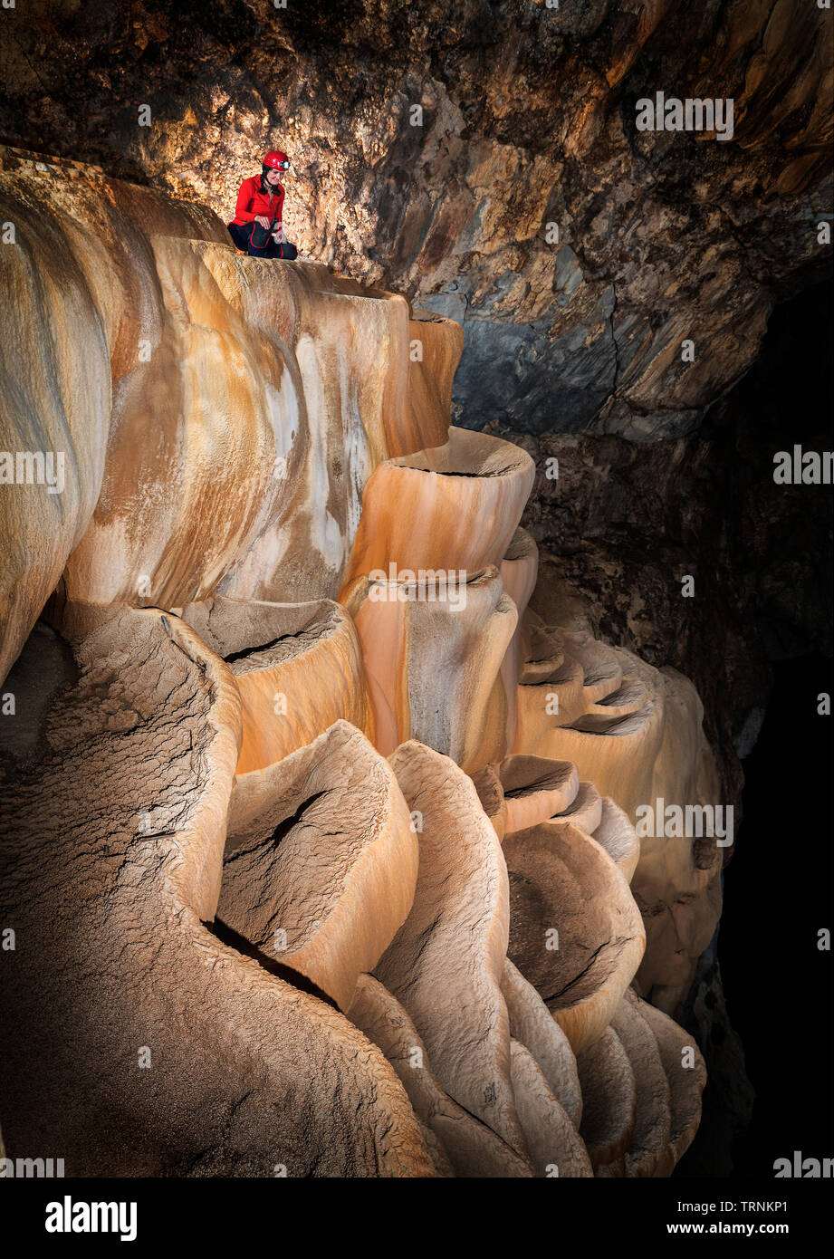 Gourpools hi-res stock photography and images - Alamy