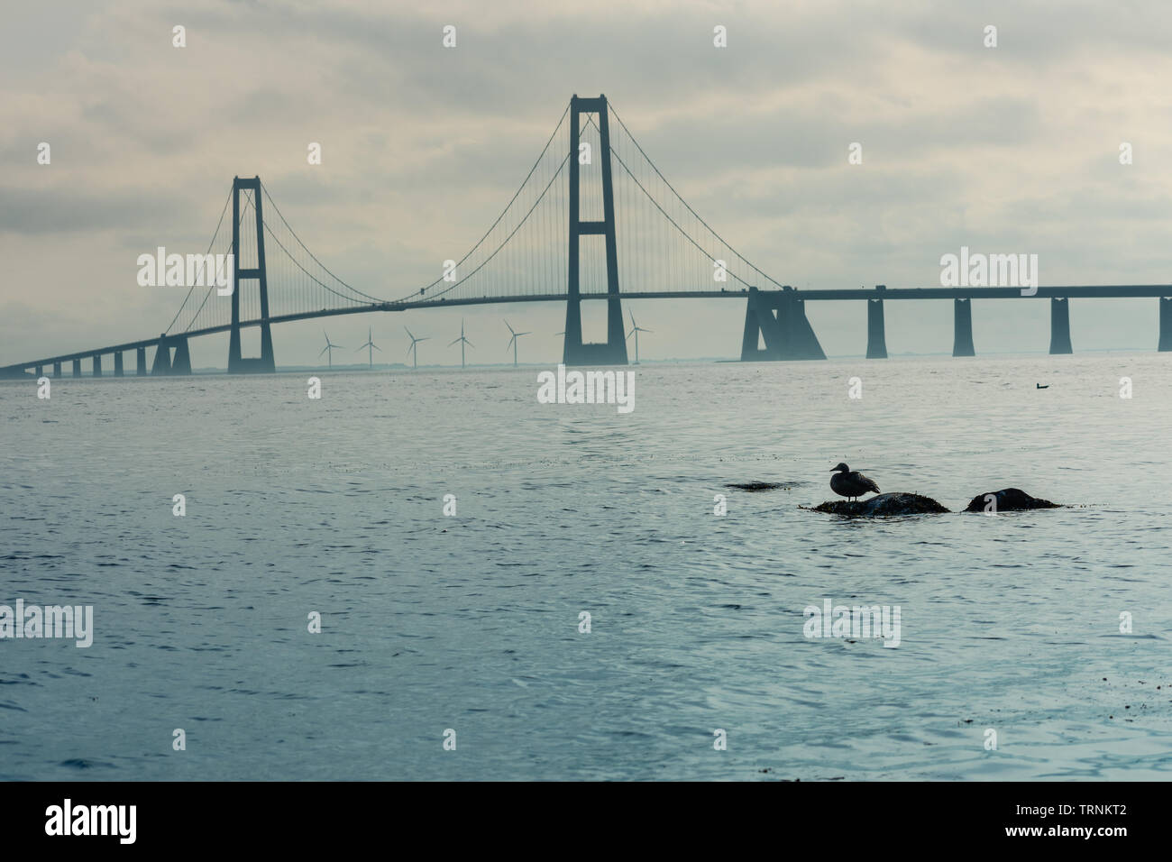 Storebaelt Sea High Resolution Stock Photography and Images - Alamy