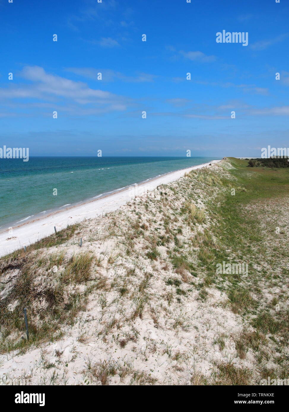 The darss hi-res stock photography and images - Alamy