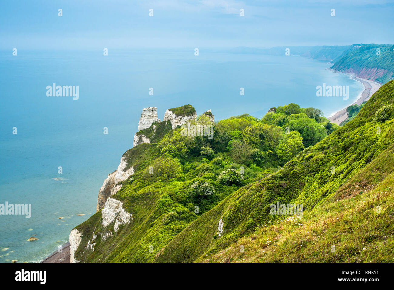 Cliffs branscombe to beer head hi-res stock photography and images - Alamy