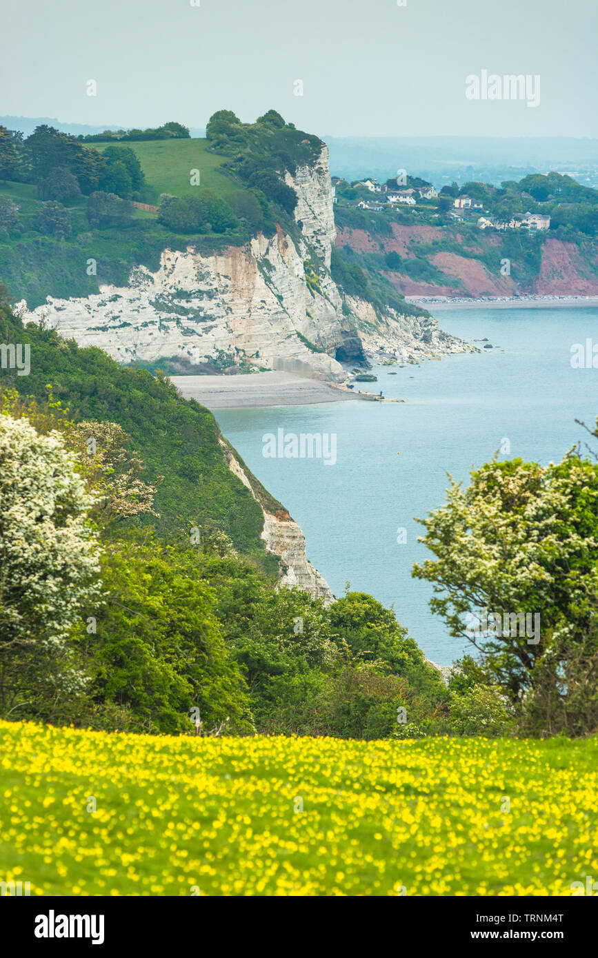 Coastal scenery at Beer on the Jurassic coast in Devon. England. UK ...