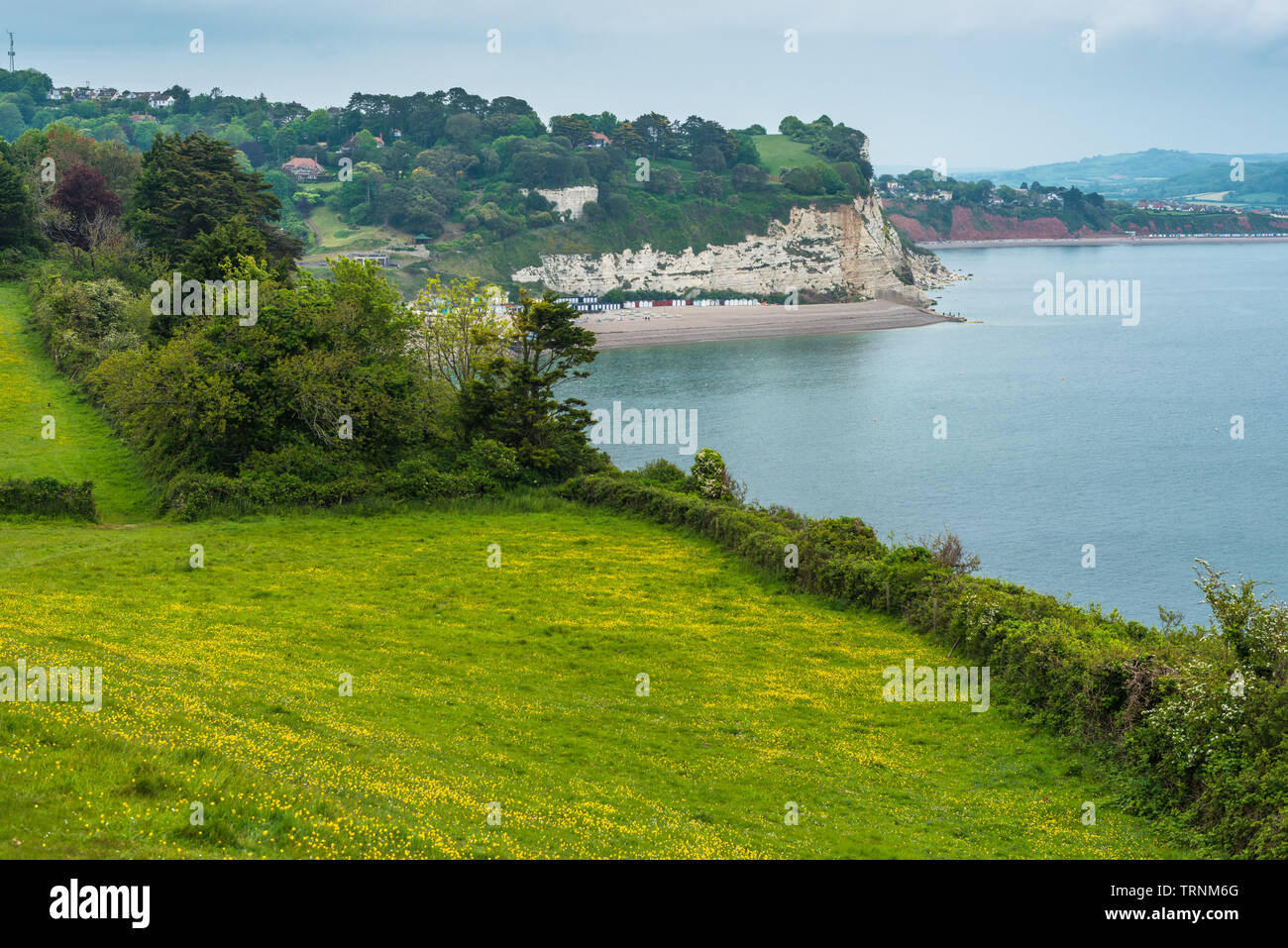 Coastal scenery at Beer on the Jurassic coast in Devon. England. UK ...
