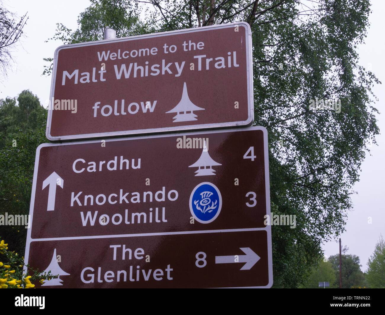 Brown sign on Malt Whisky Trail directing visitors to Cardhu and The ...