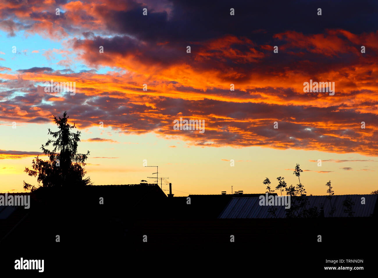 Contrast photography hi-res stock photography and images - Alamy