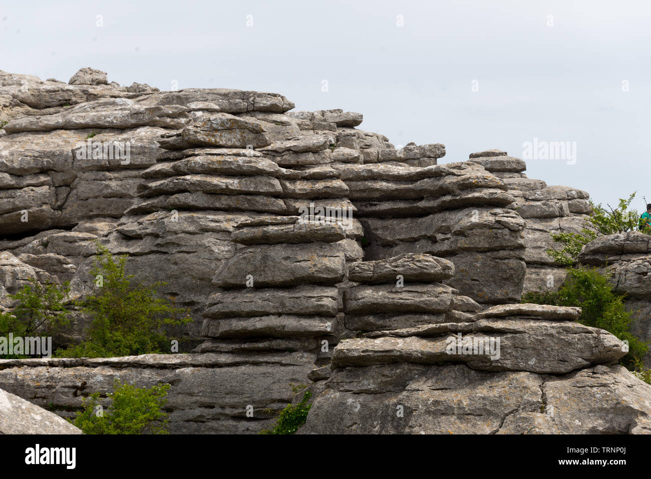 karst formation in torcal national park, andalusia, spain Stock Photo ...