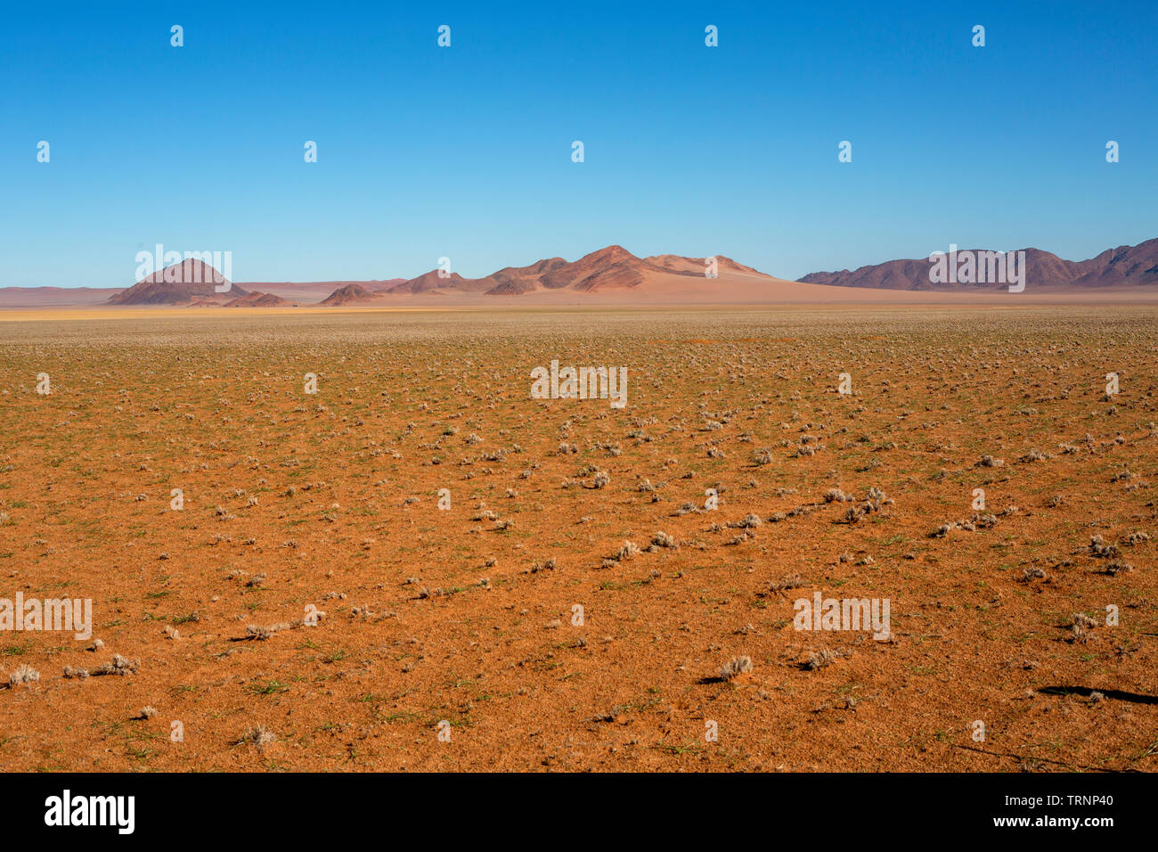 Barren dry landscape Stock Photo - Alamy