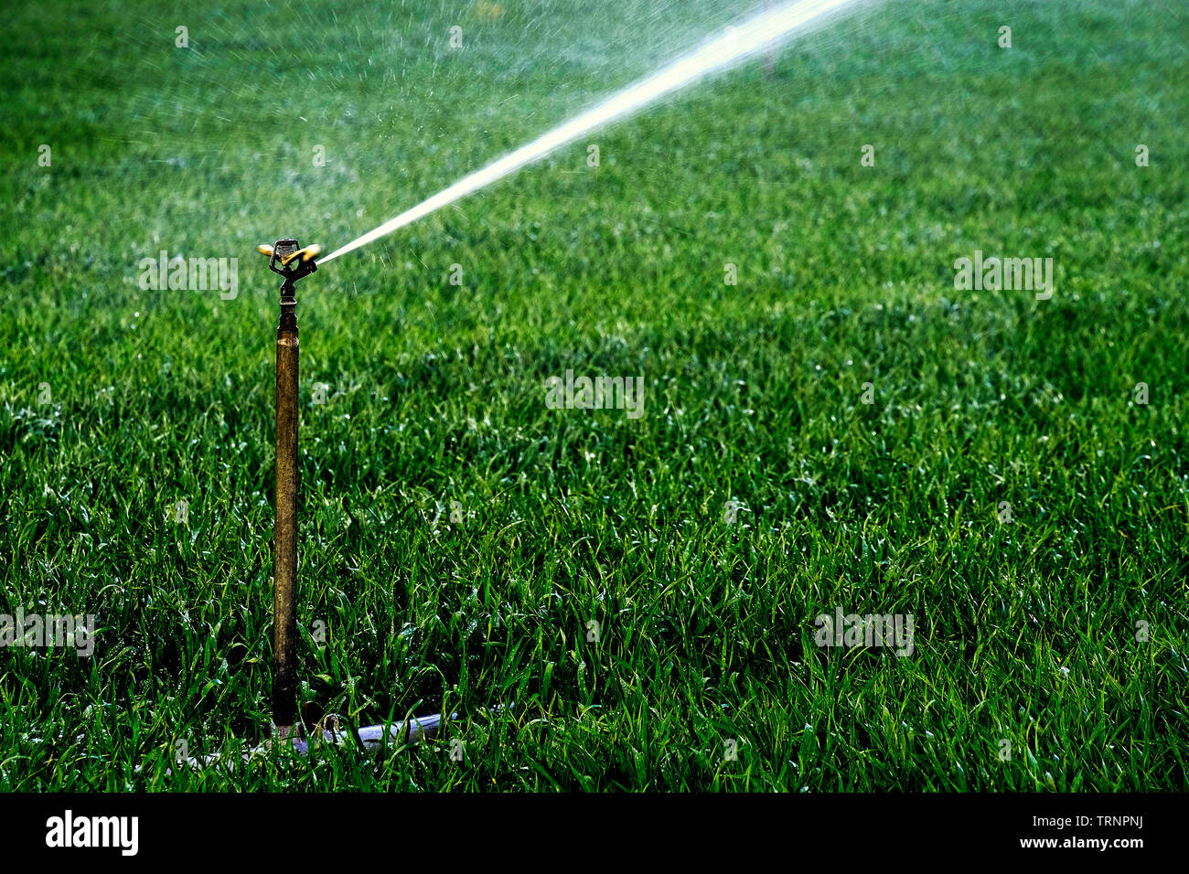Sprinker irrigation system spraying water on field agricultural Stock ...