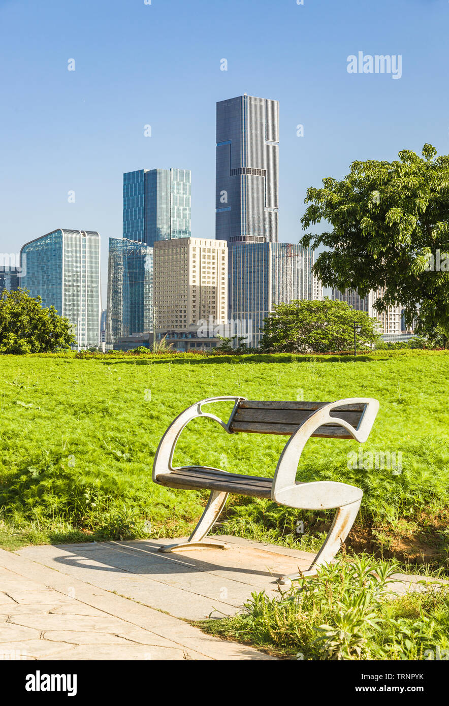Wooden park bench at sunrise in a park,with a cityscape background ...