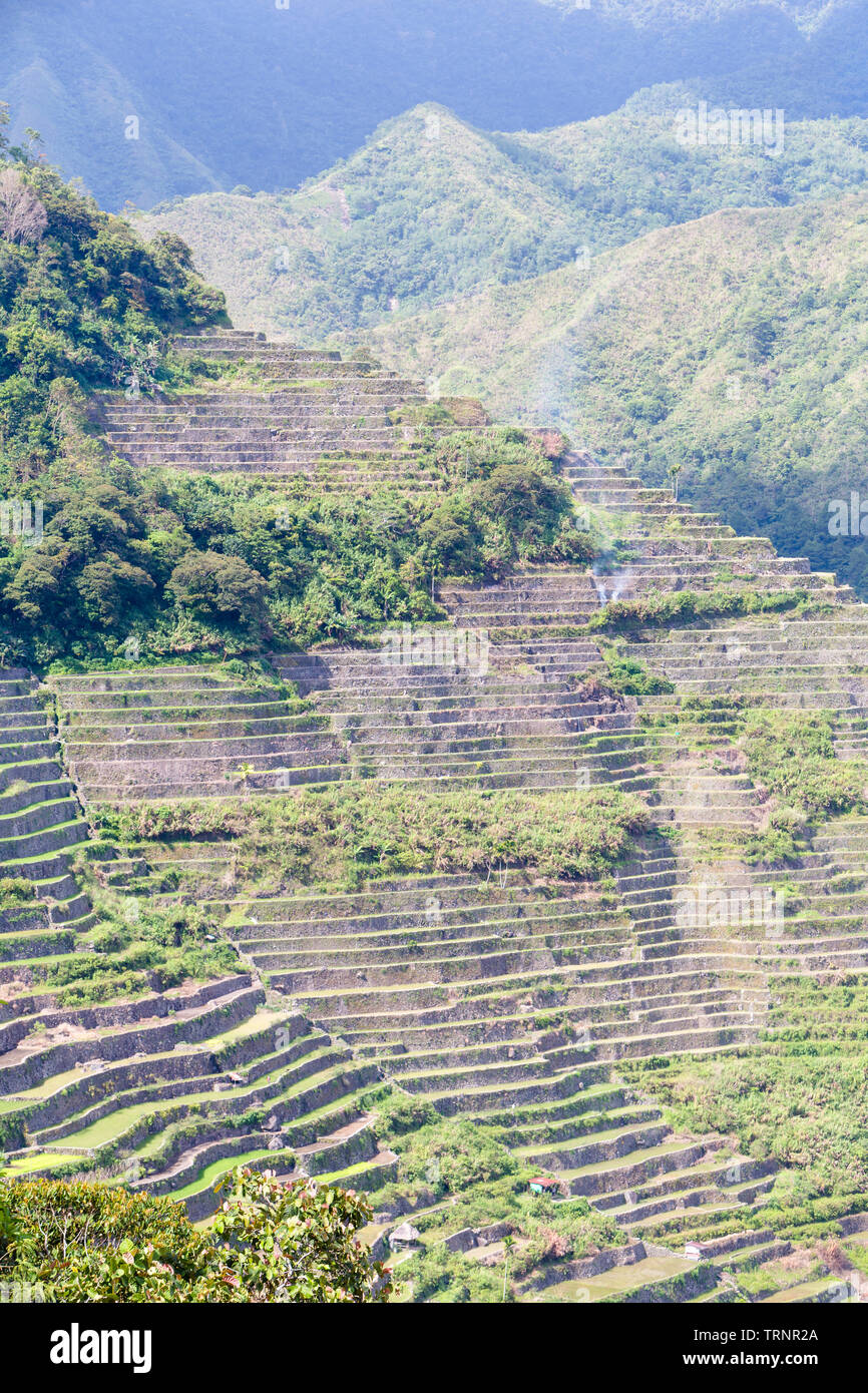 Batad rice terraces, near Banaue, Philippines Stock Photo - Alamy