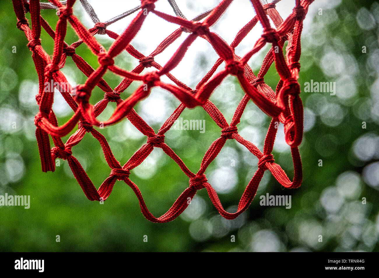 String netting hi-res stock photography and images - Alamy