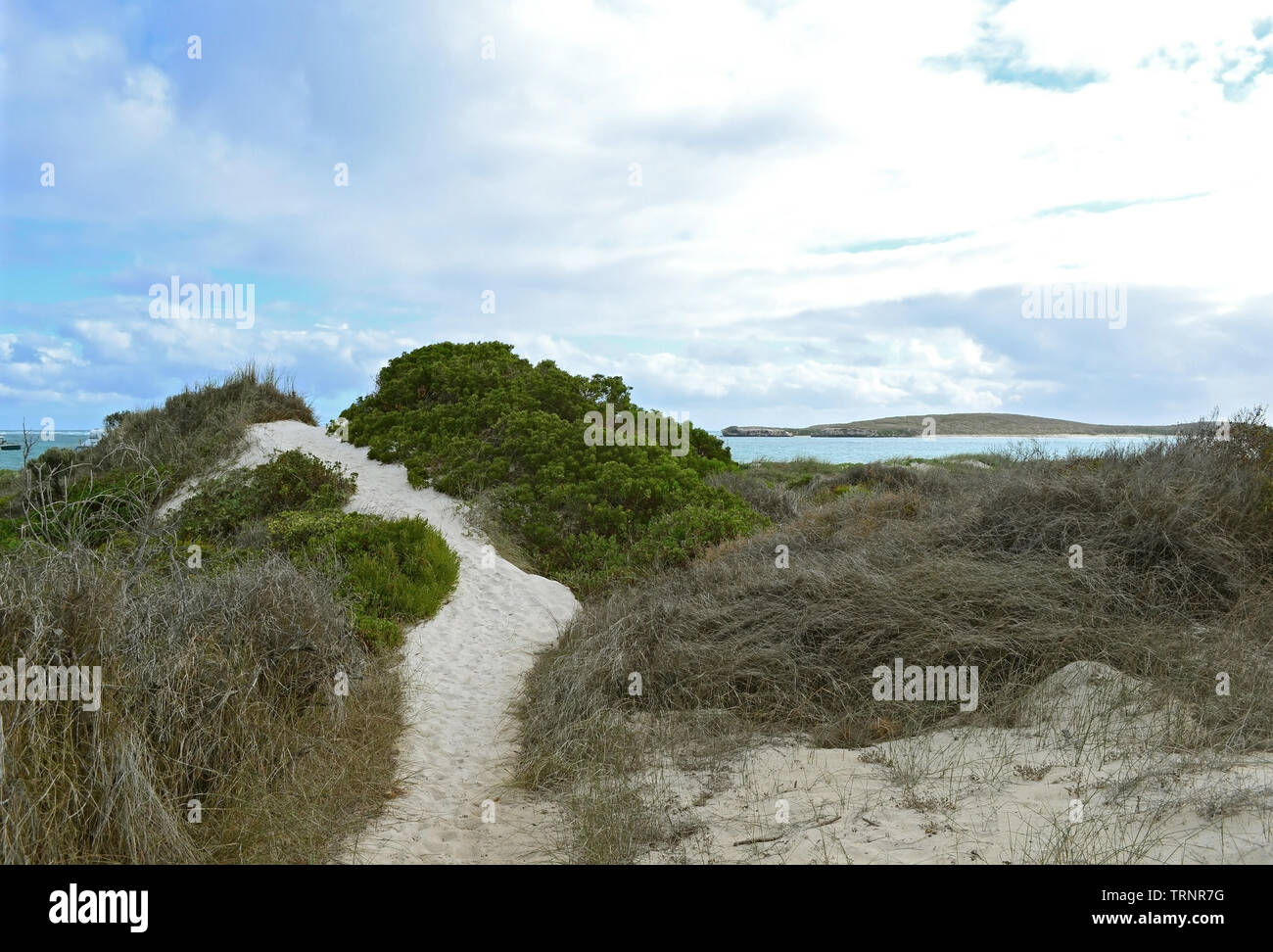 Sand dunes with grass and the beach at Lancelin, Perth, Western ...