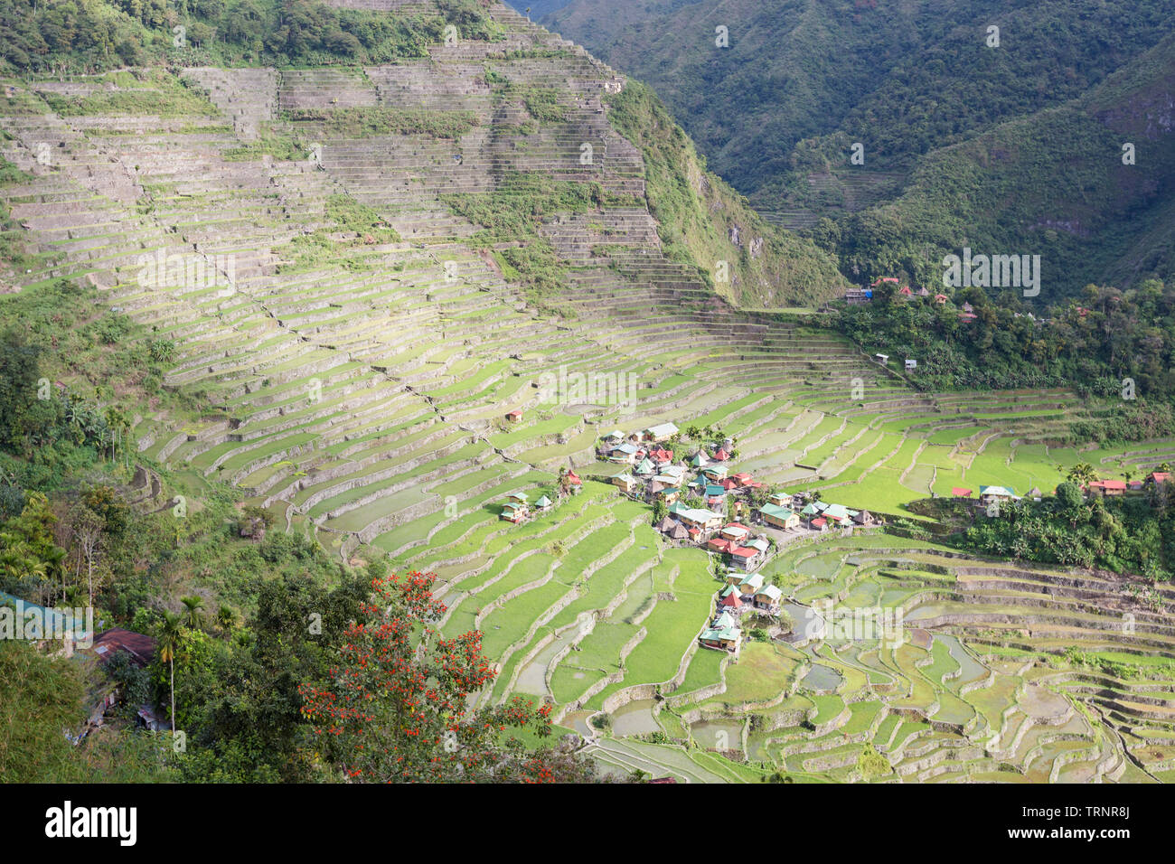 Batad philippines hi-res stock photography and images - Alamy