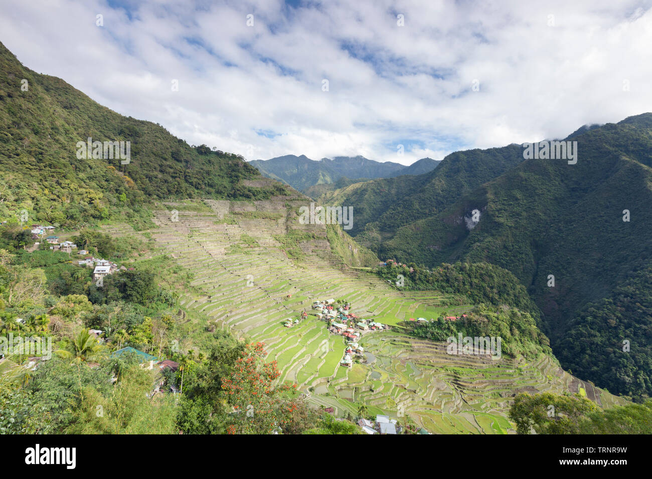 Batad rice terraces, near Banaue, Philippines Stock Photo - Alamy