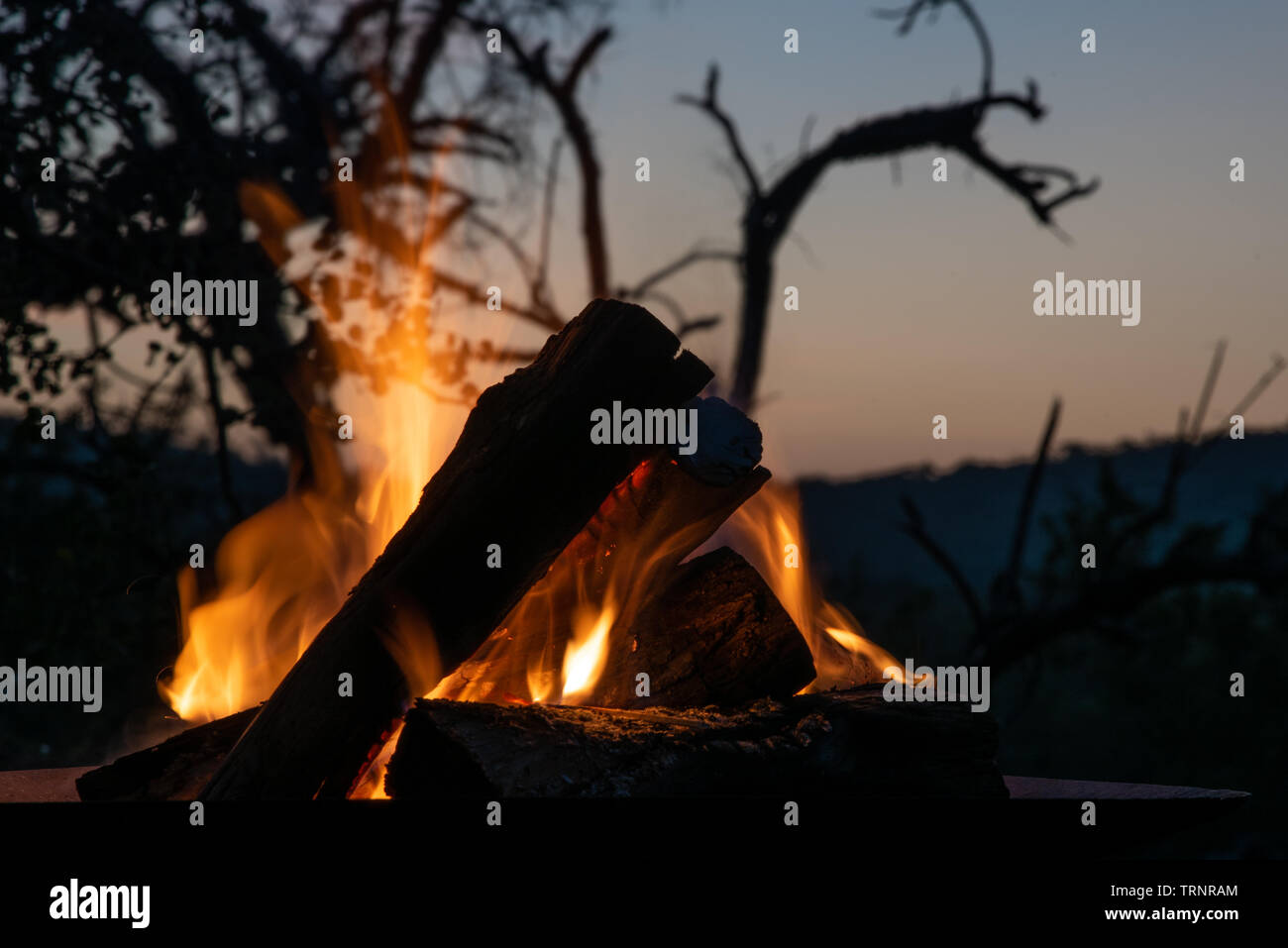 The flames of a campfire at dusk on safari in Africa, Hluhluwe-iMfolozi ...