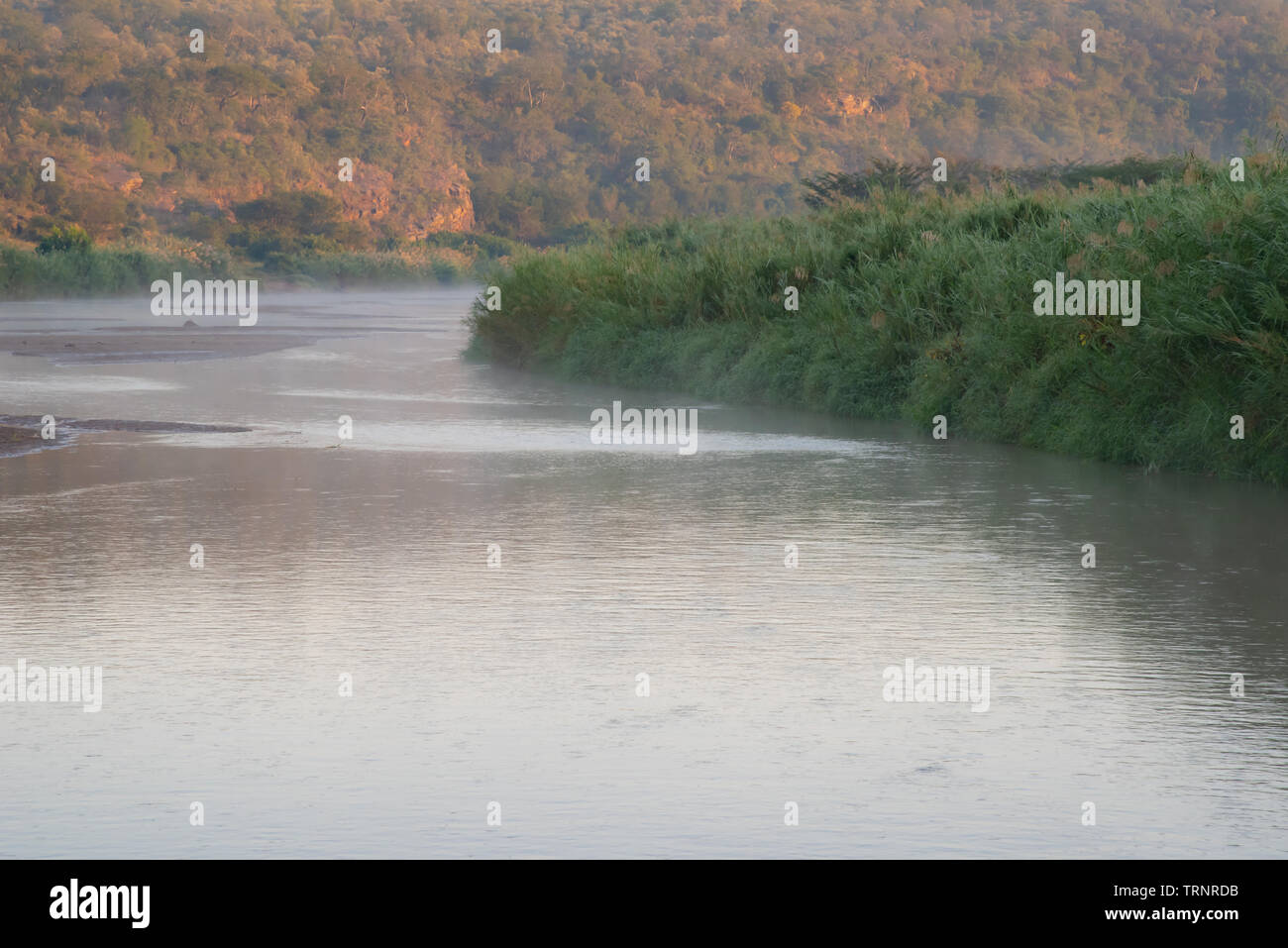 Black imfolozi river hi-res stock photography and images - Alamy