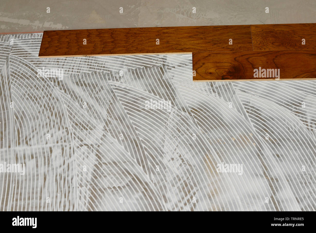 Installation of new engineered wood flooring Stock Photo - Alamy