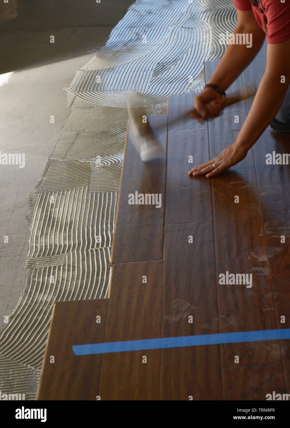 Installation of new engineered wood flooring Stock Photo - Alamy