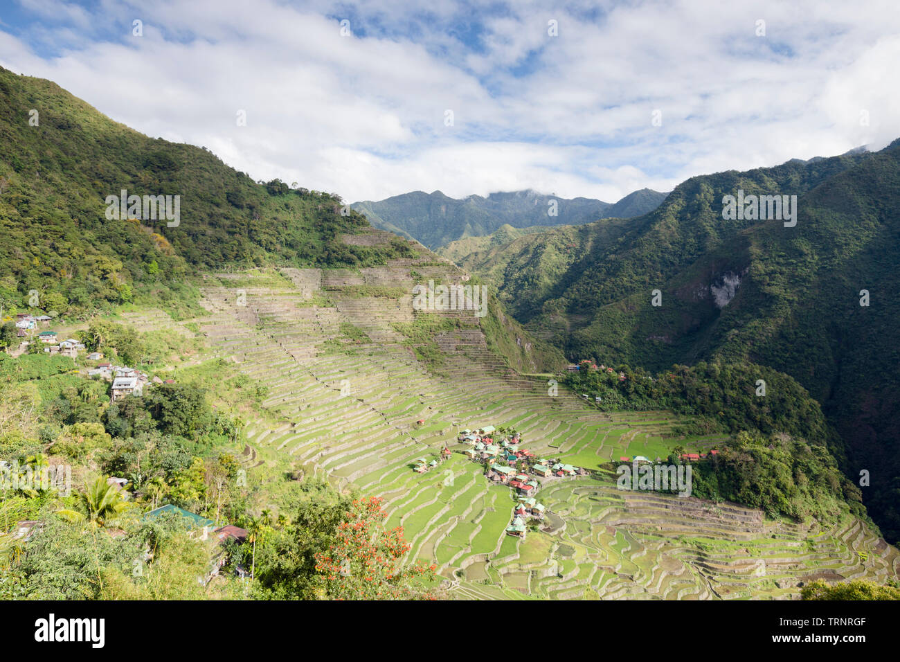 Batad rice terraces, near Banaue, Philippines Stock Photo - Alamy