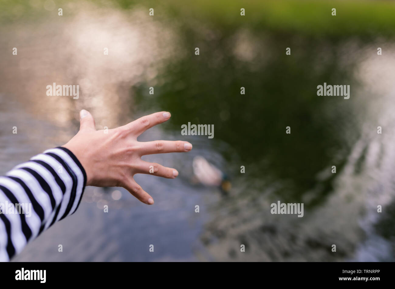 Woman hand touches soft hi-res stock photography and images - Alamy
