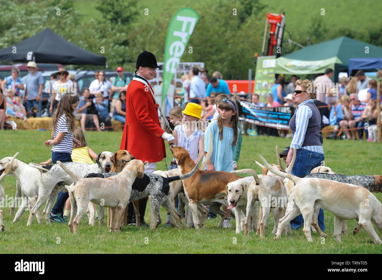 Children fox hunting hi-res stock photography and images - Alamy