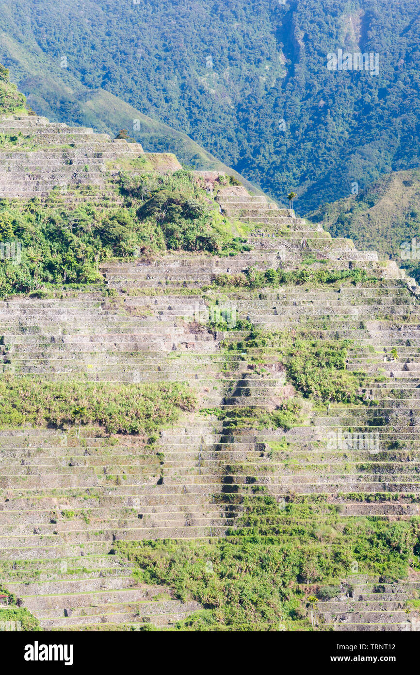 Batad rice terraces, near Banaue, Philippines Stock Photo - Alamy